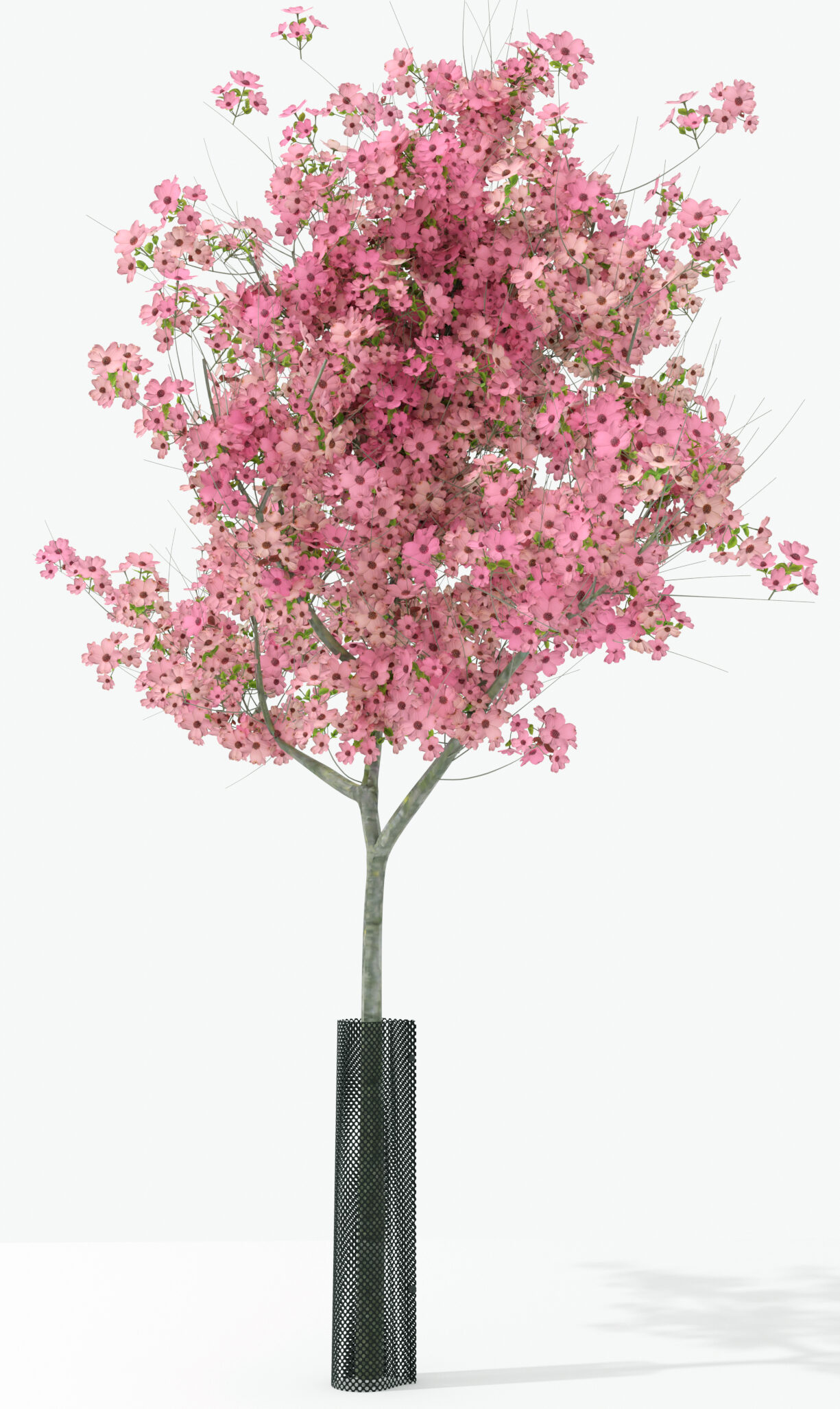 Better Rabbit Protection - ReachSupplies.com